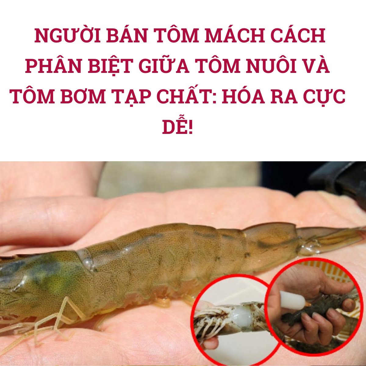 Người bán tôm mách cách phân biệt giữa tôm nuôi và tôm bơm tạp chất: Hóa ra cực dễ!